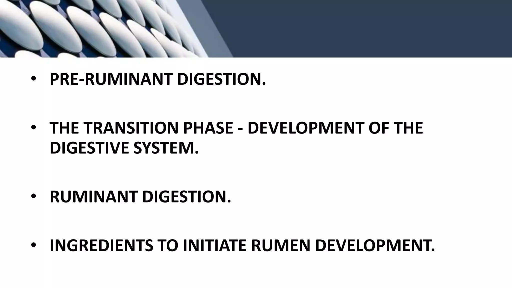DEVELOPMENT OF RUMEN.pptx