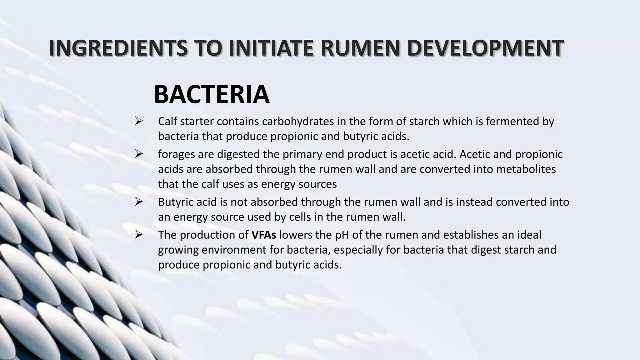 DEVELOPMENT OF RUMEN.pptx