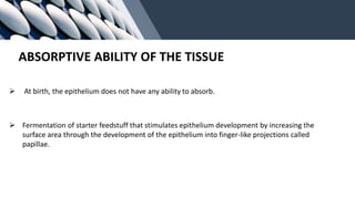 DEVELOPMENT OF RUMEN.pptx
