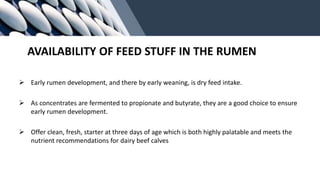 DEVELOPMENT OF RUMEN.pptx
