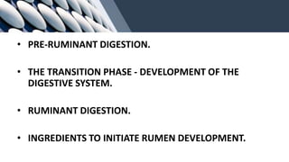 DEVELOPMENT OF RUMEN.pptx