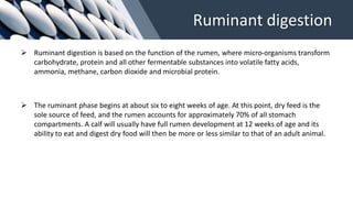 DEVELOPMENT OF RUMEN.pptx