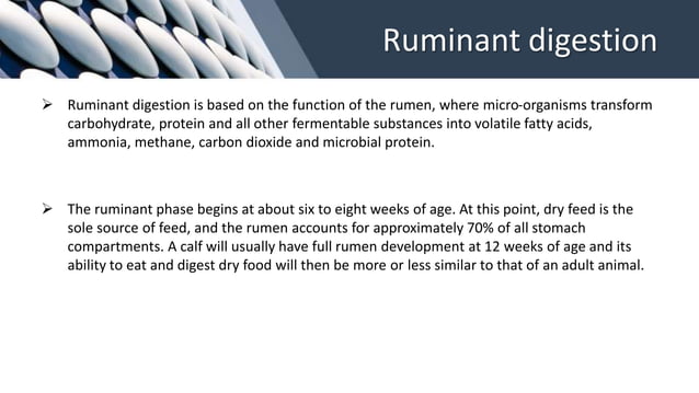 DEVELOPMENT OF RUMEN.pptx | Vegan Diets | Food & Drink
