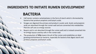 DEVELOPMENT OF RUMEN.pptx