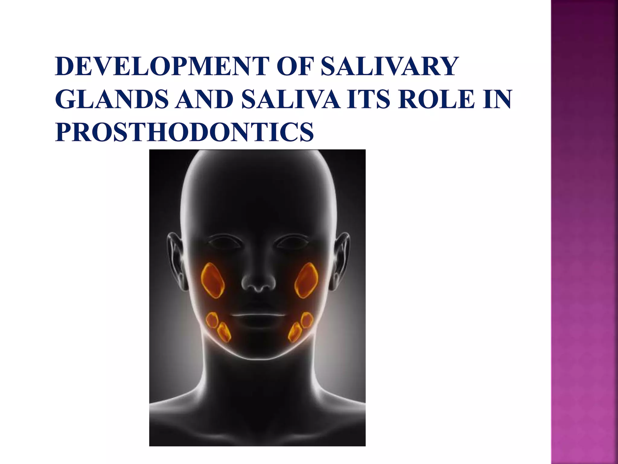 Development of salivary glands , saliva and its role in prosthodontics ...
