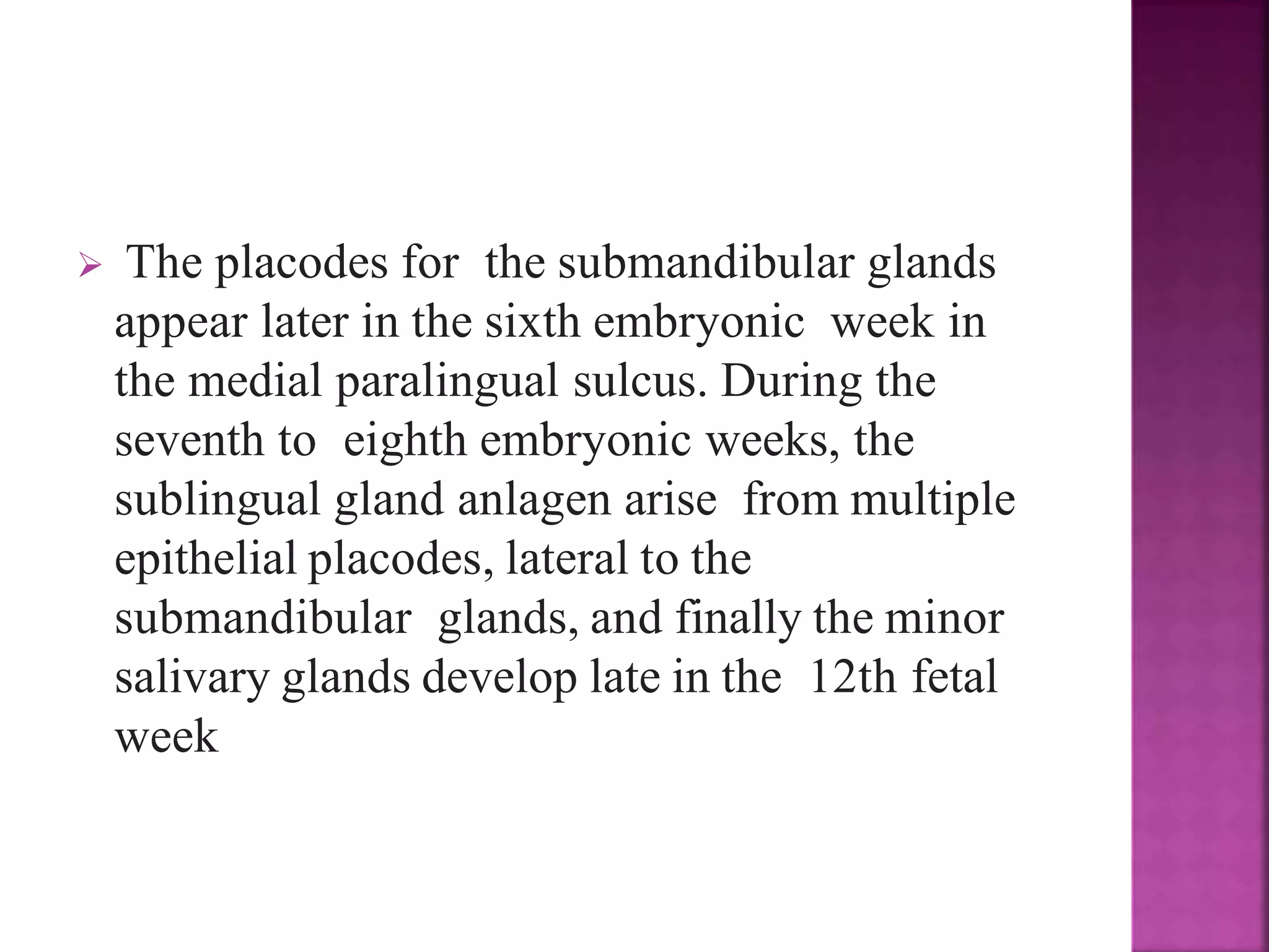 Development of salivary glands , saliva and its role in prosthodontics ...