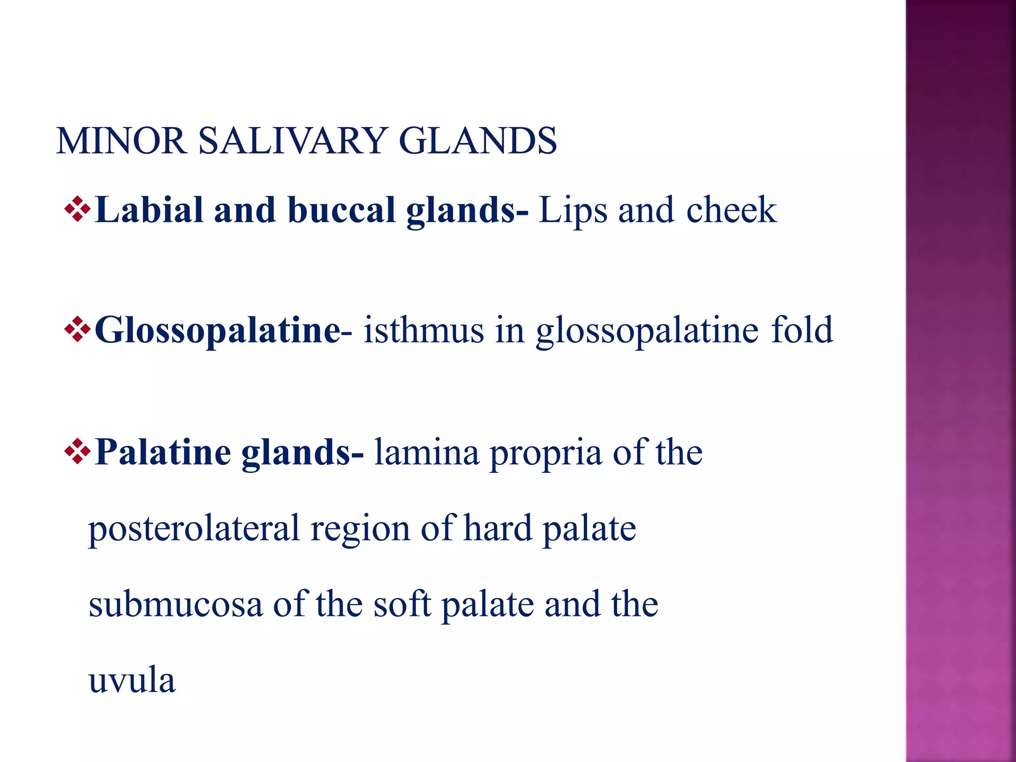 Development of salivary glands , saliva and its role in prosthodontics ...