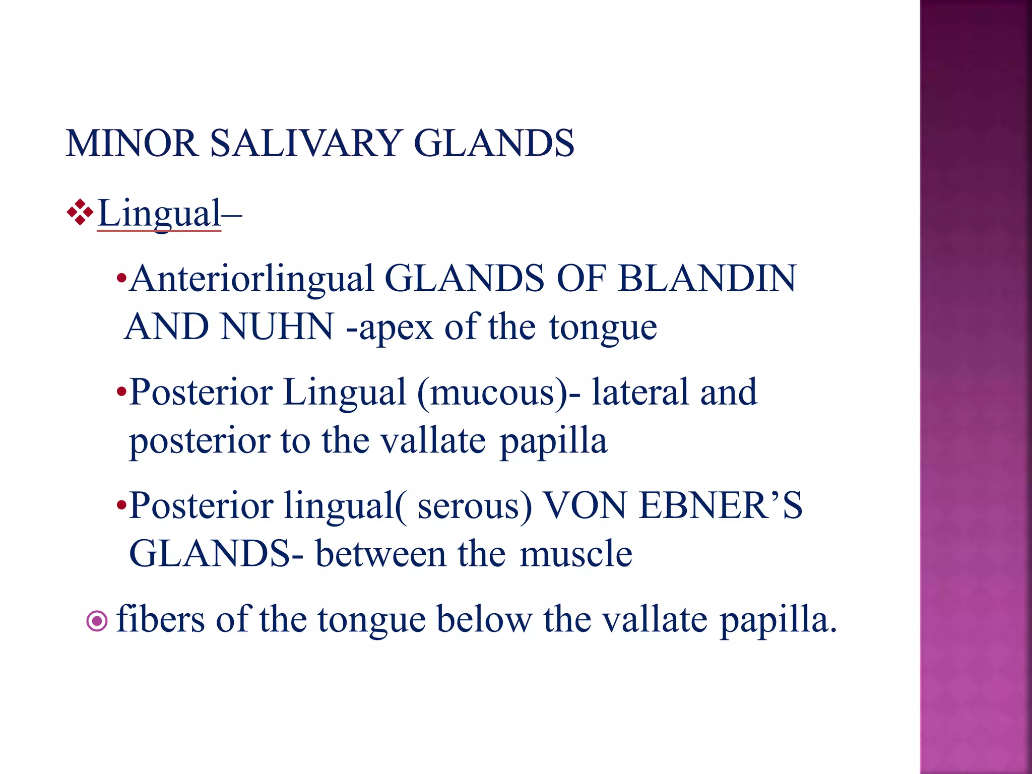 Development of salivary glands , saliva and its role in prosthodontics ...