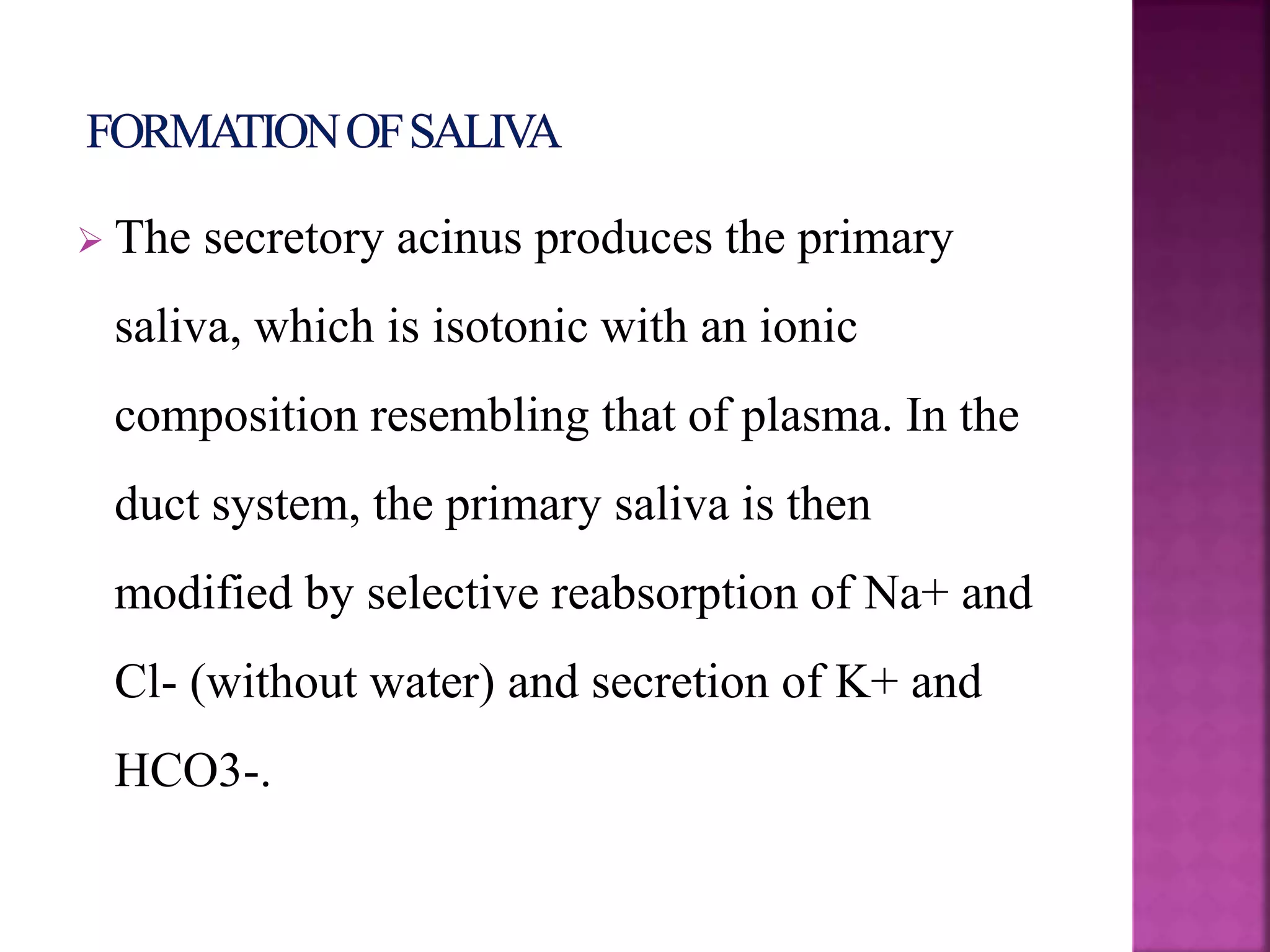 Development of salivary glands , saliva and its role in prosthodontics ...