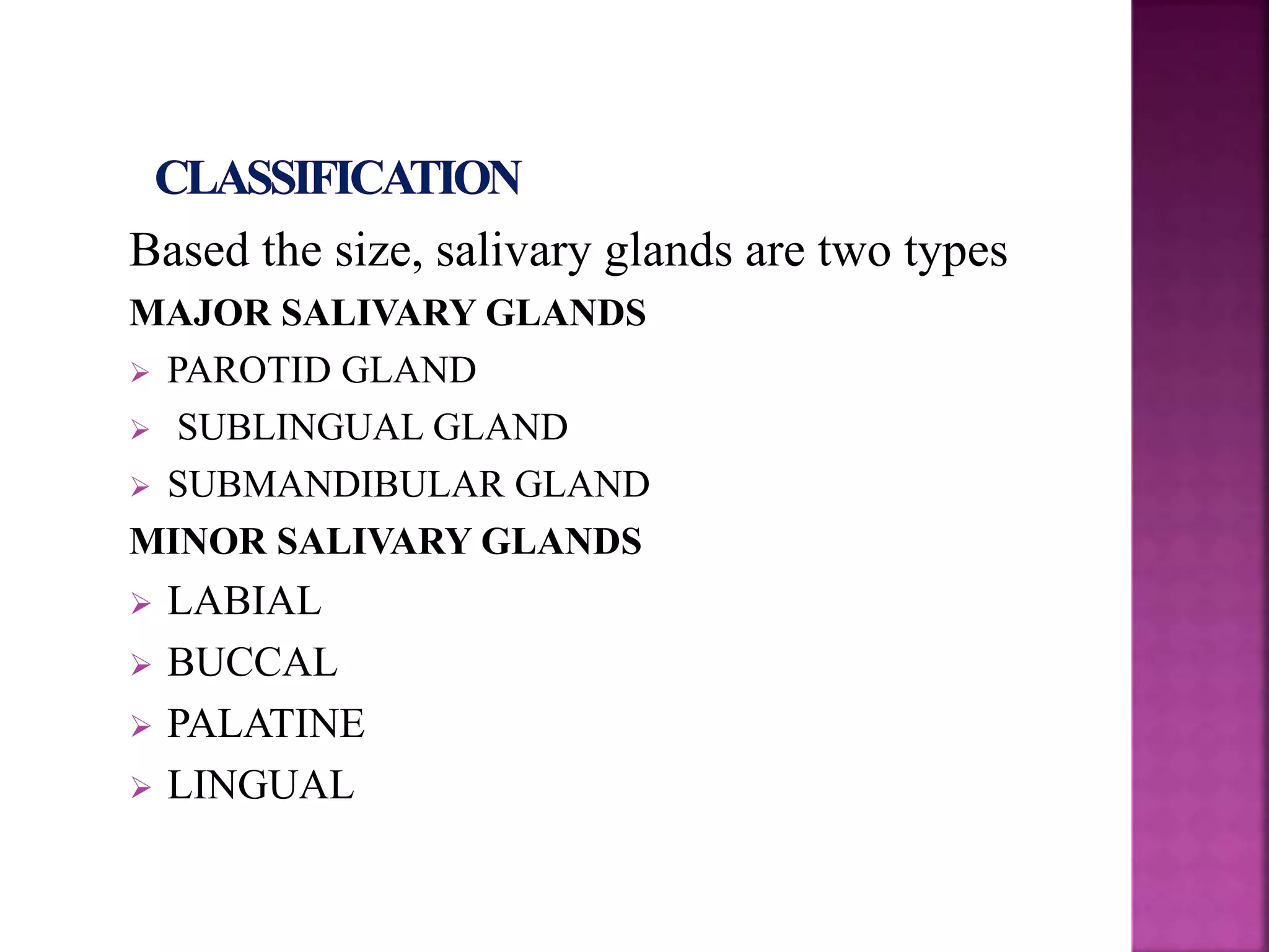 Development of salivary glands , saliva and its role in prosthodontics ...