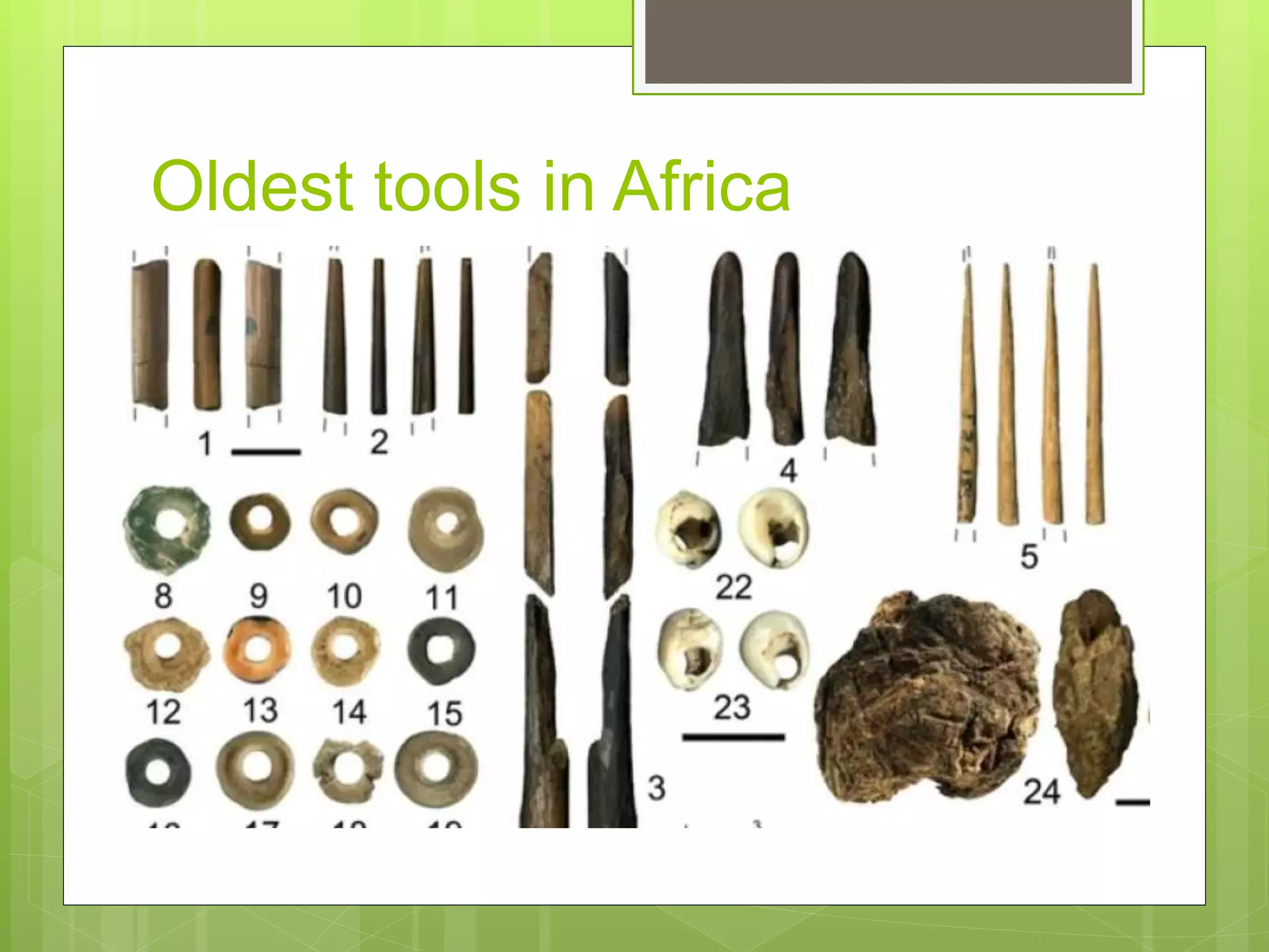 Development of science in africa | PPTX