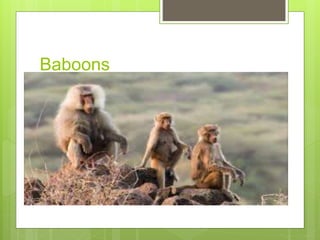 Development of science in africa | PPTX