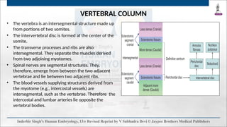 Development of skeletal and muscular system and skull bones.pptx