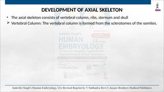 Development of skeletal and muscular system and skull bones.pptx