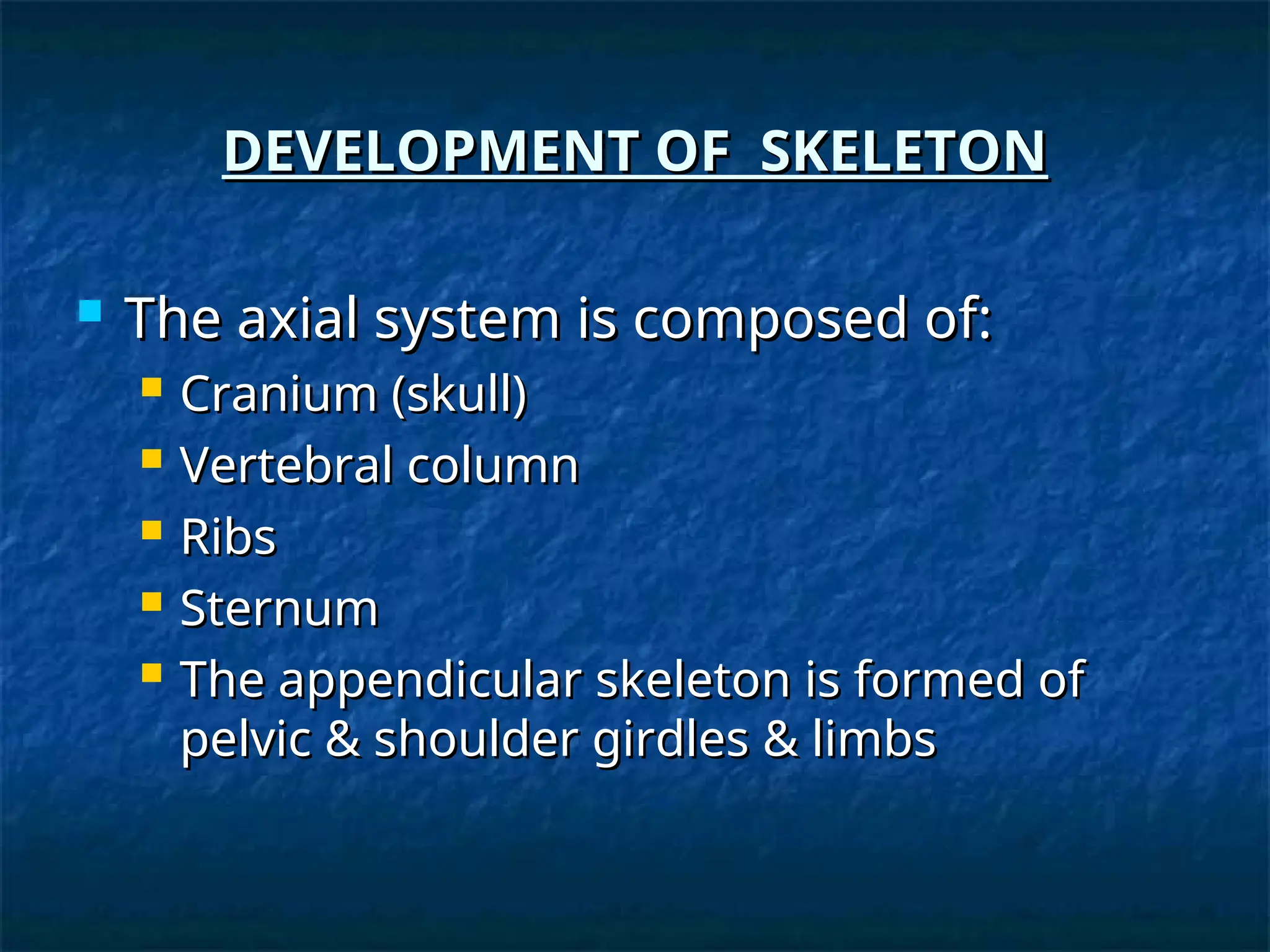 DEVELOPMENT OF SKELETAL SYSTEM mbbs .ppt