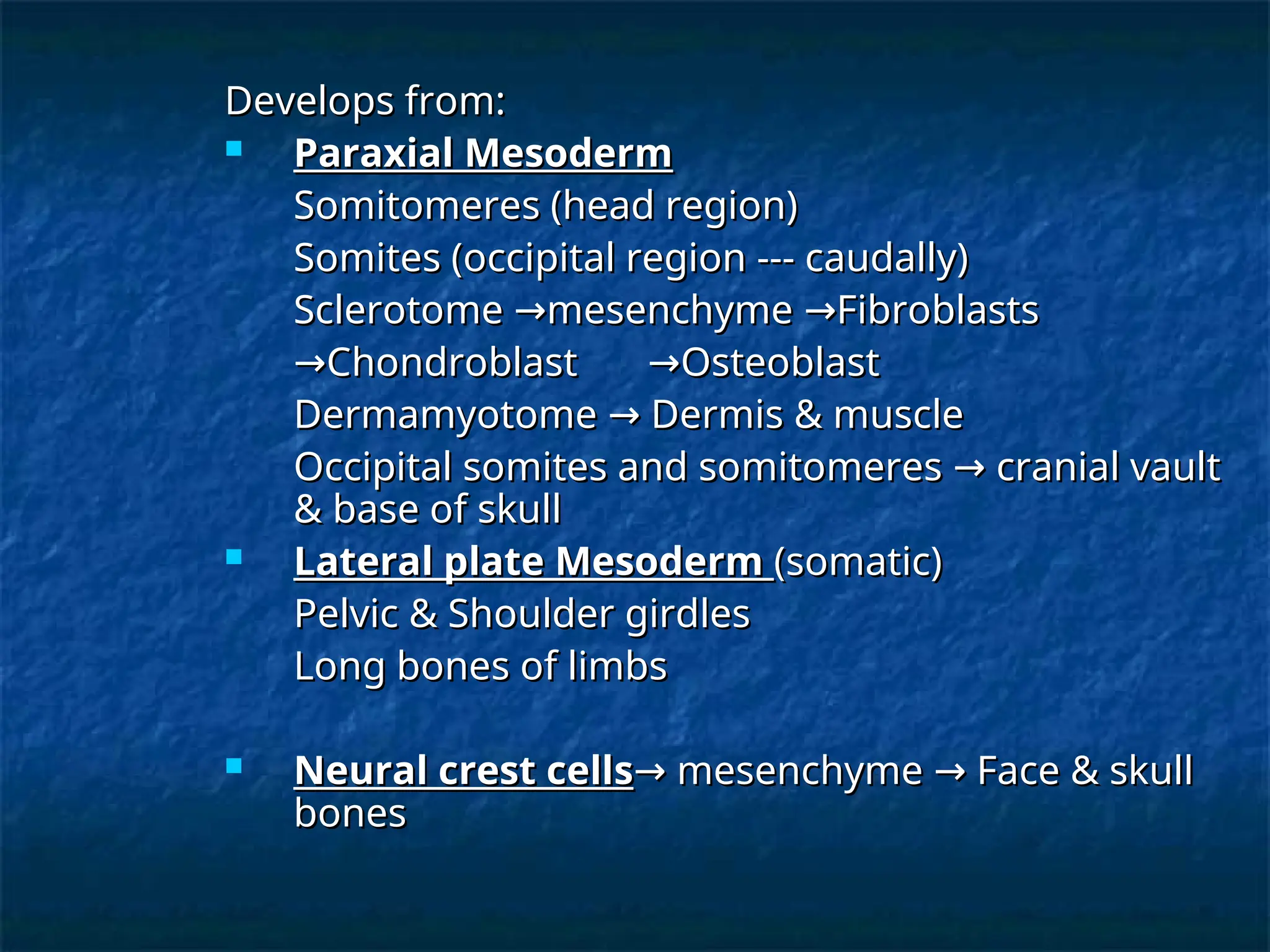 DEVELOPMENT OF SKELETAL SYSTEM mbbs .ppt