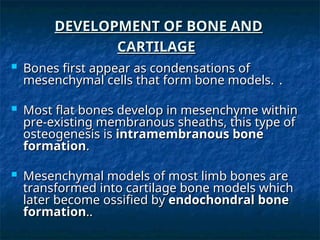 DEVELOPMENT OF SKELETAL SYSTEM mbbs .ppt