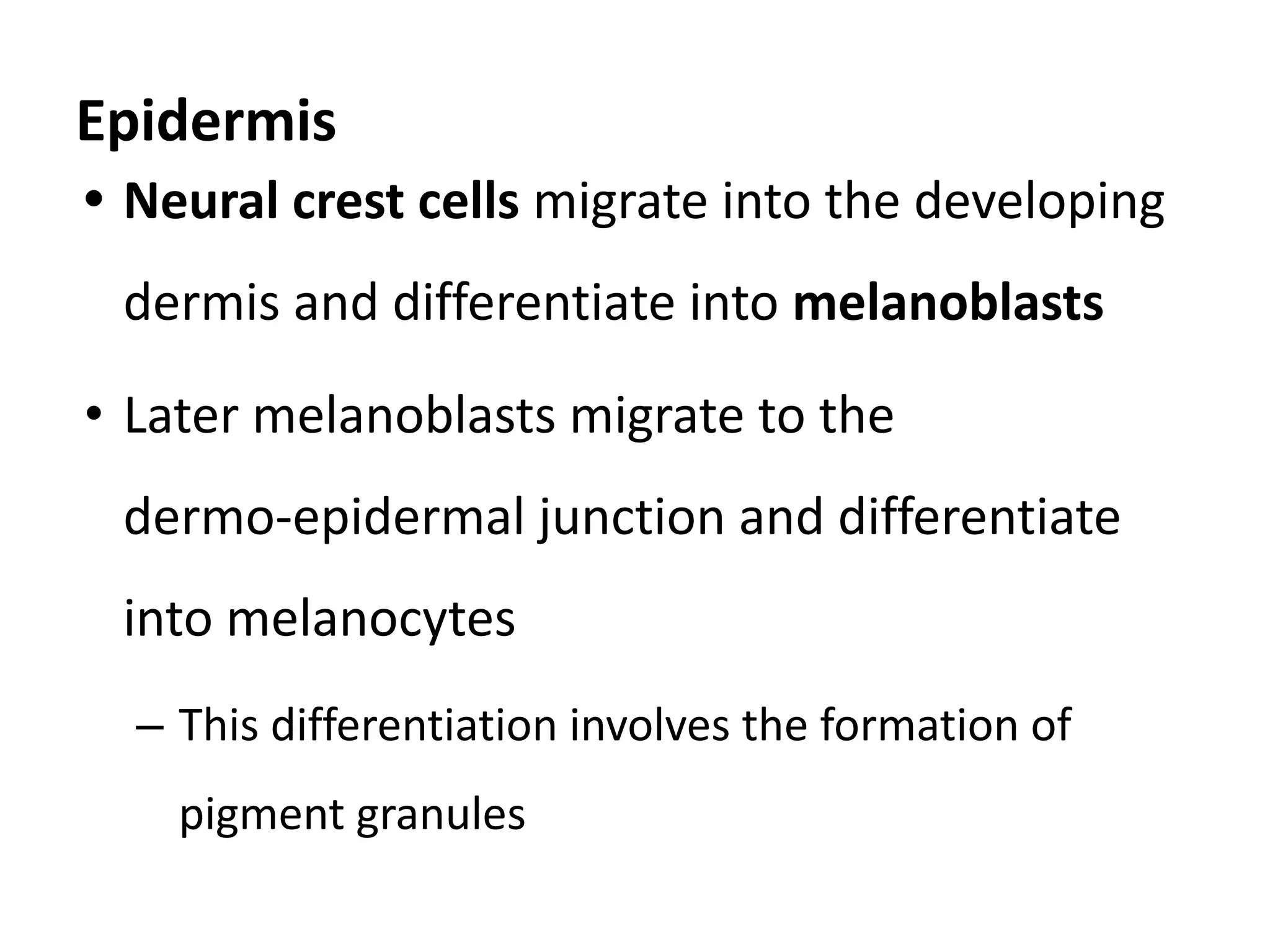 Development of Skin.pptx.pdf