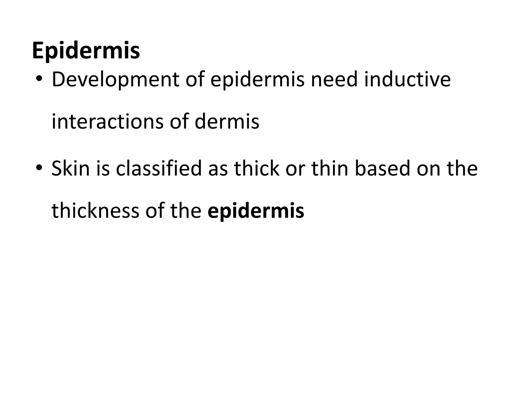 Development of Skin.pptx.pdf
