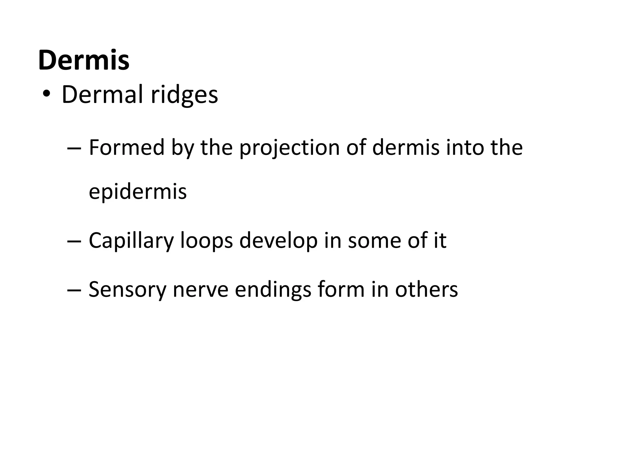 Development of Skin.pptx.pdf