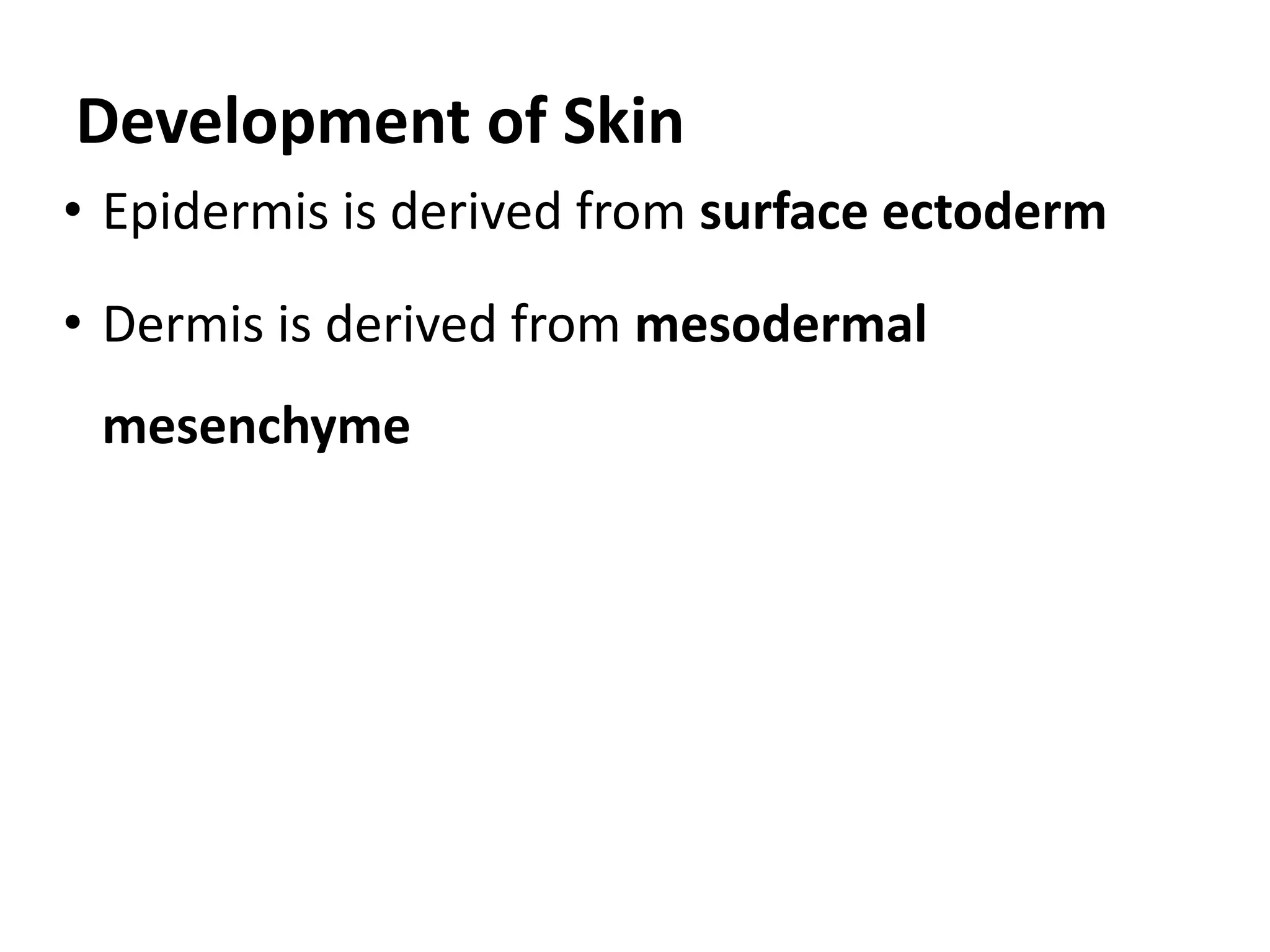 Development of Skin.pptx.pdf