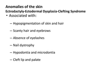Development of Skin.pptx.pdf