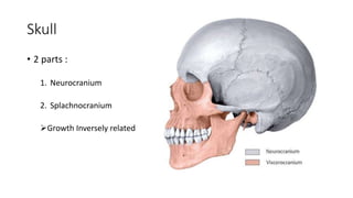 Development of skull embryology copy.pptx