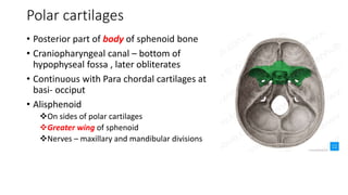 Development of skull embryology copy.pptx