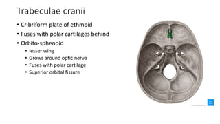 Development of skull embryology copy.pptx