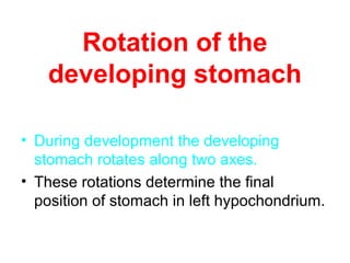 Development of stomach | PPT