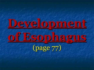 Development of Stomach (Special Embryology) | PPS