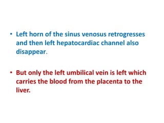 Development of superior venacava and azygous vein | PDF