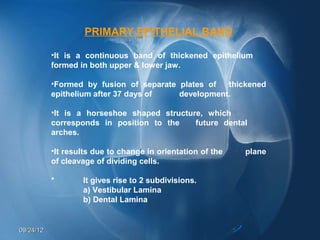 Development of teeth | PPT