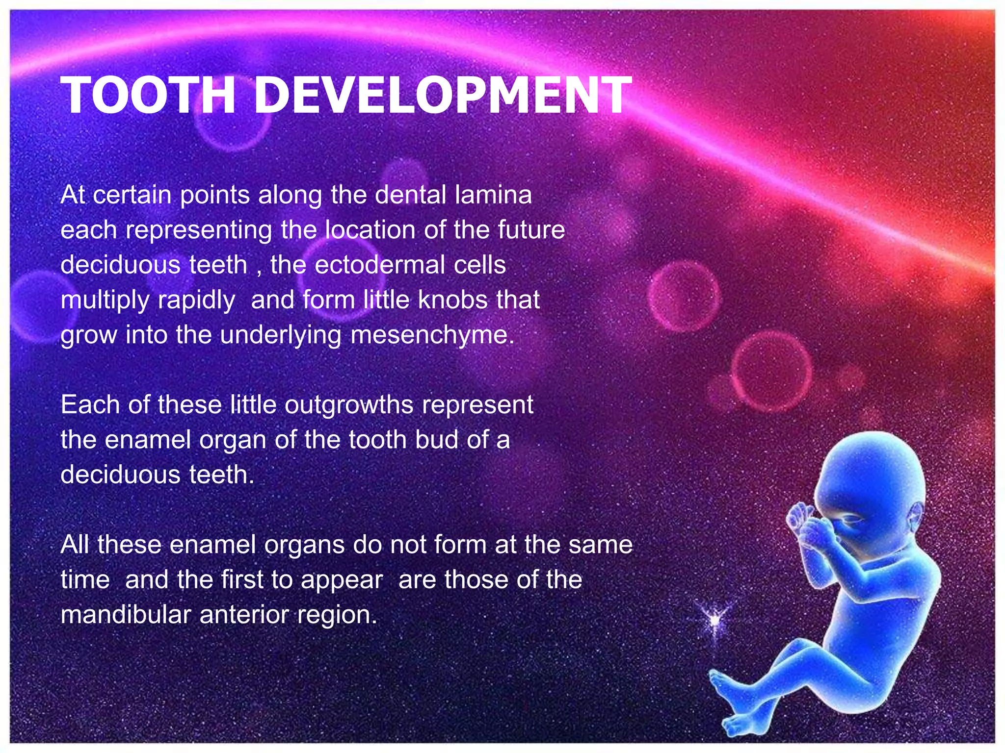 Development of teeth.pptx | Infertility | Reproductive Health