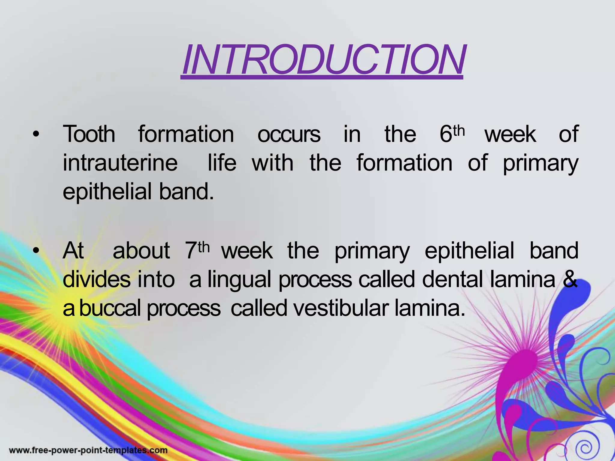 Development of teeth | PPTX
