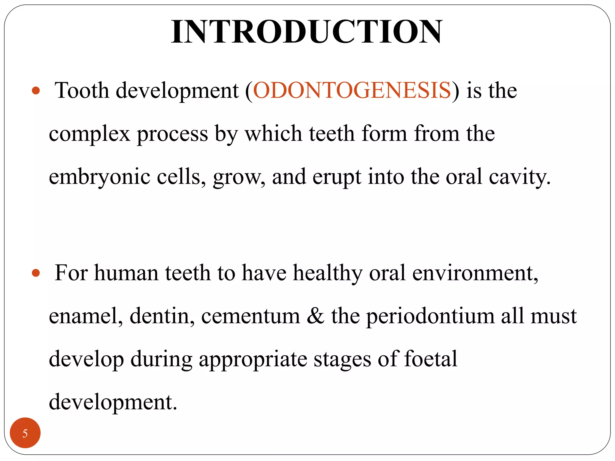 Development of teeth | PPTX