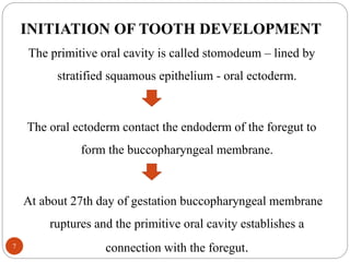 Development of teeth | PPTX