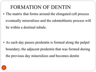 Development of teeth | PPT