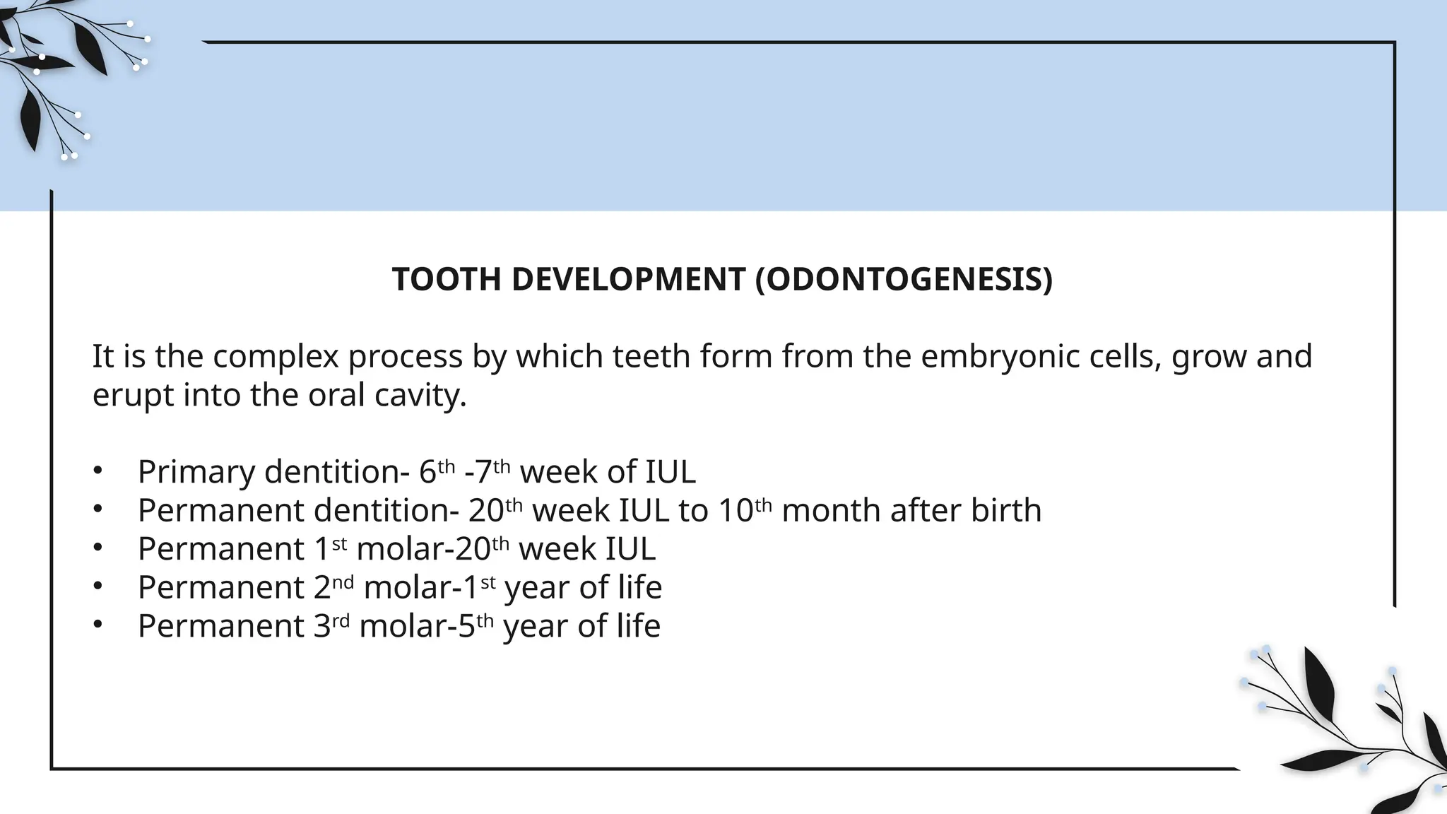development of teeth: morphological and physiological stages | PPTX