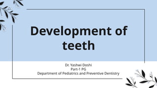 development of teeth: morphological and physiological stages | PPTX