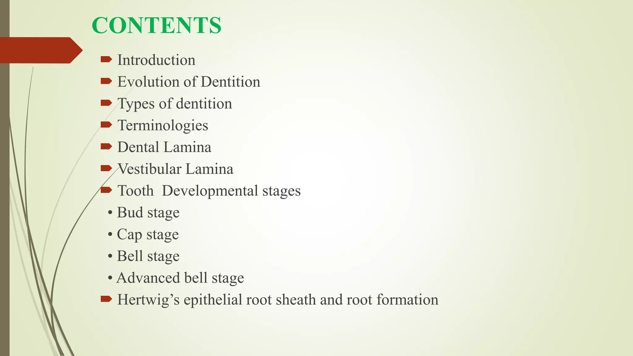 Development Of Teeth | PPTX