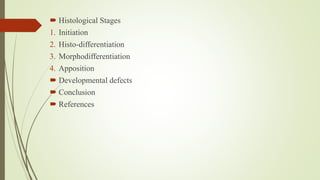 Development Of Teeth | PPTX