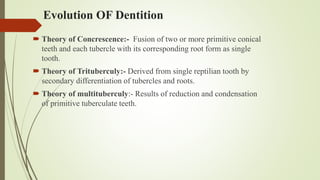 Development Of Teeth | PPTX