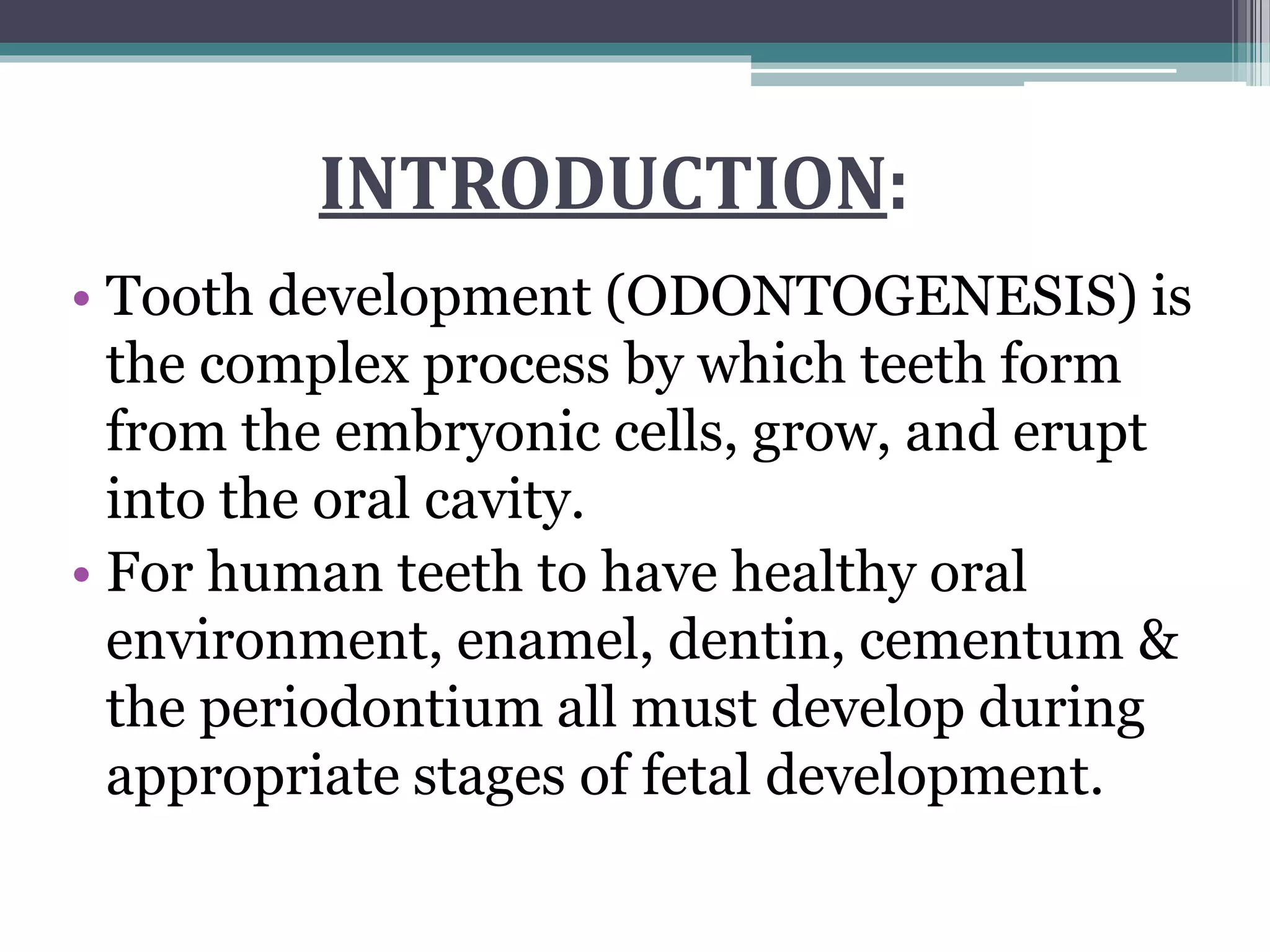 Development of teeth and its clinical significance | PPTX