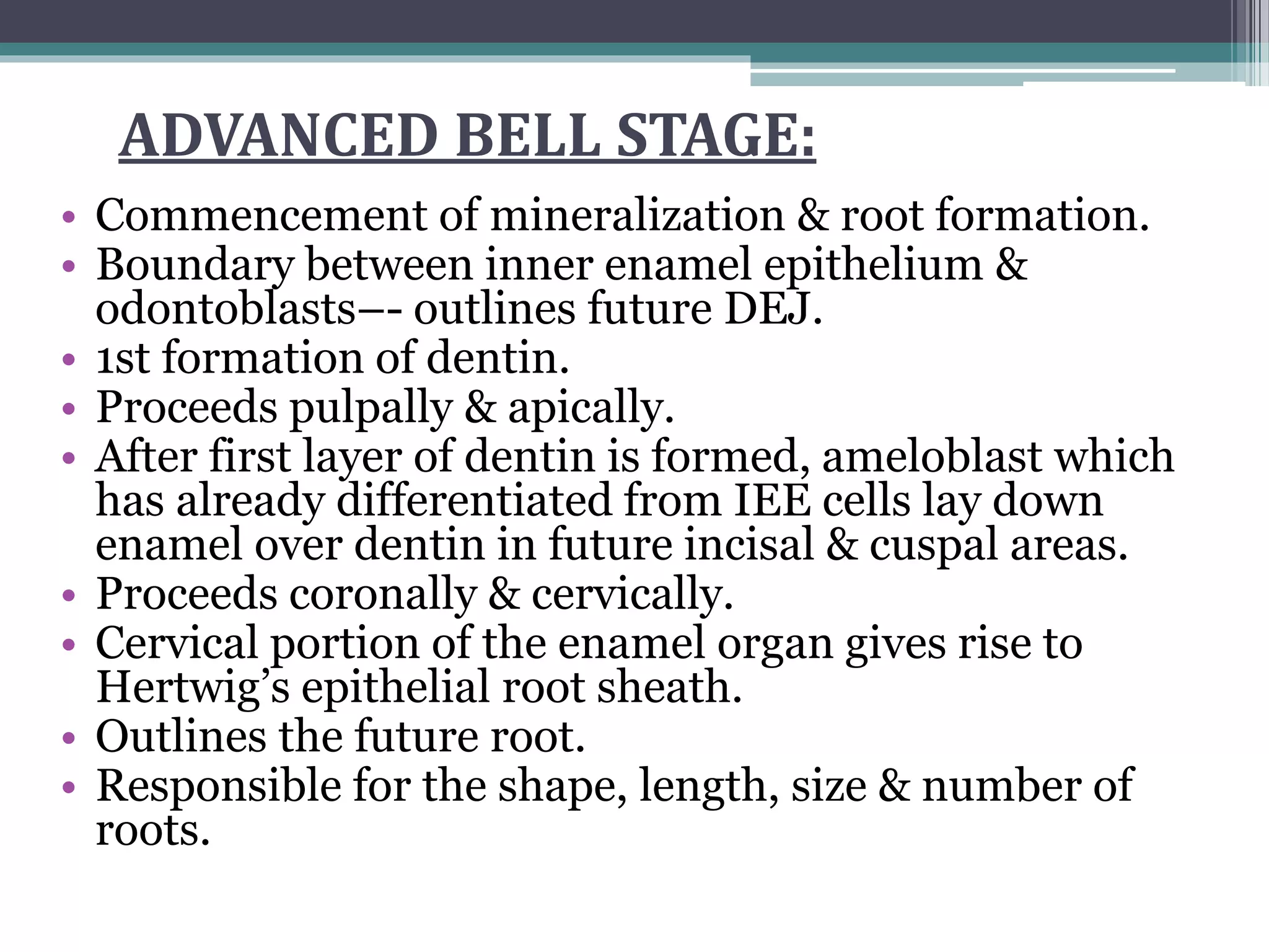 Development of teeth and its clinical significance | PPTX