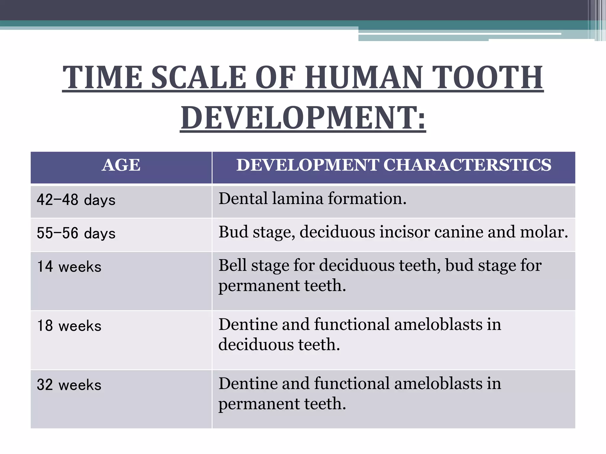 Development of teeth and its clinical significance | PPTX