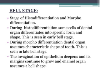 Development of teeth and its clinical significance | PPTX