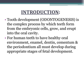 Development of teeth and its clinical significance | PPTX