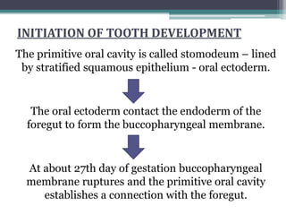 Development of teeth and its clinical significance | PPTX