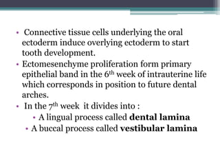 Development of teeth and its clinical significance | PPTX
